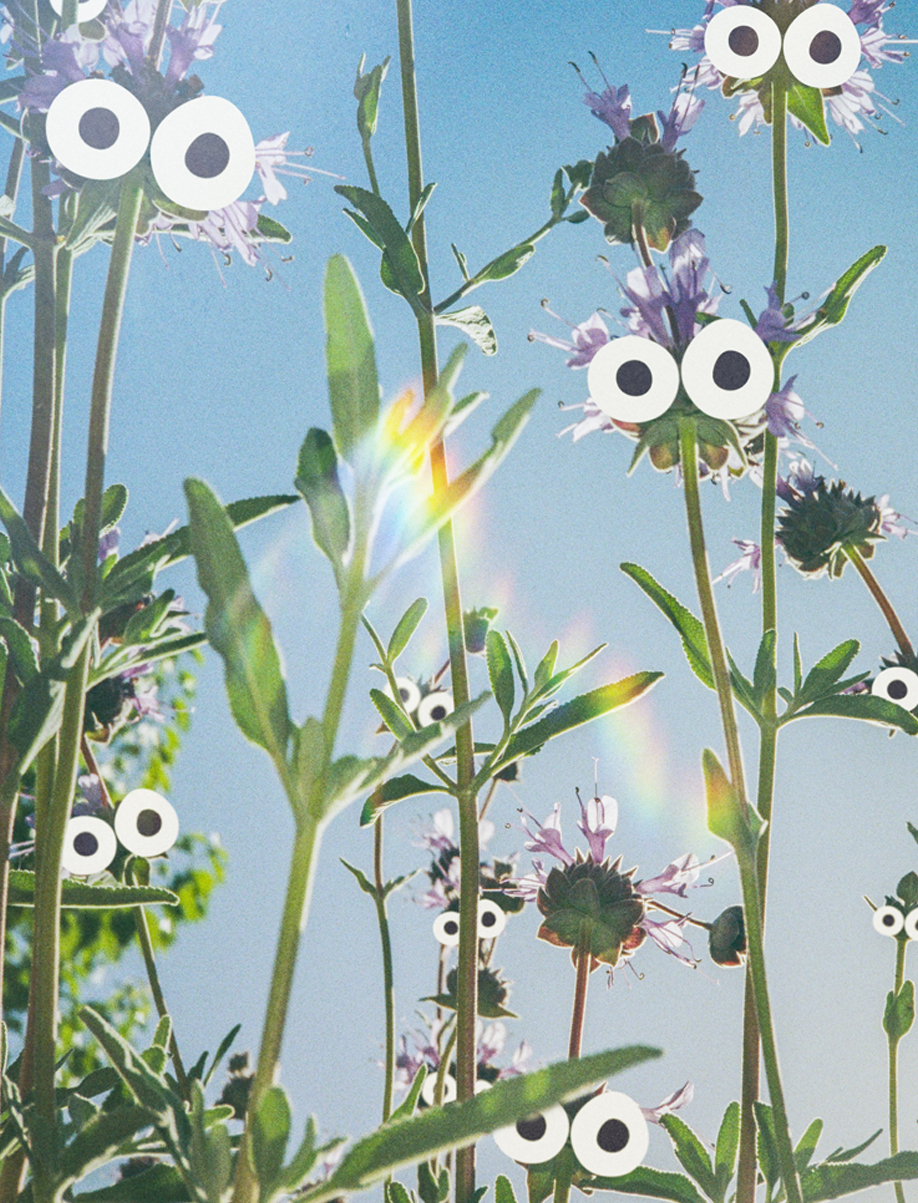 Our Mission — Leiya.