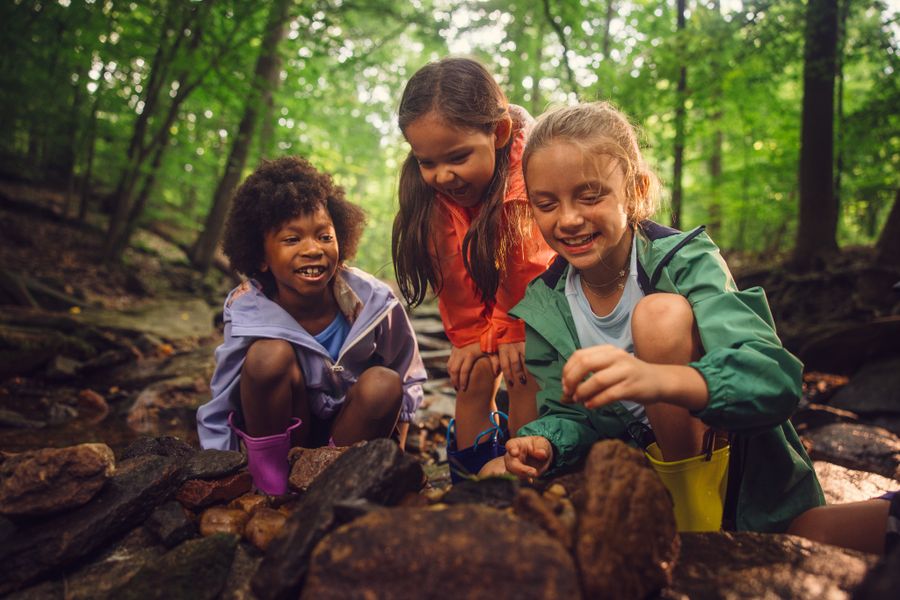 Care Model — Leiya.